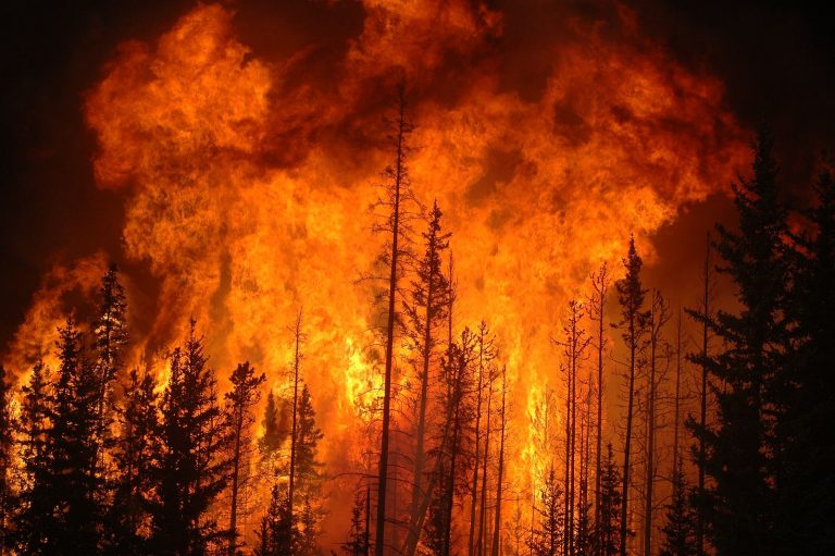 Wildfire – State of the Planet