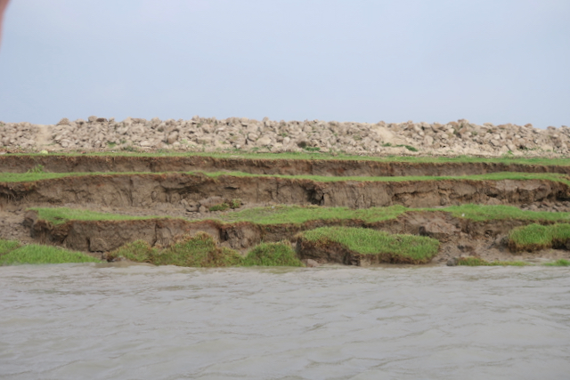 Continuing the Survey: Watermelon and Winds – State of the Planet