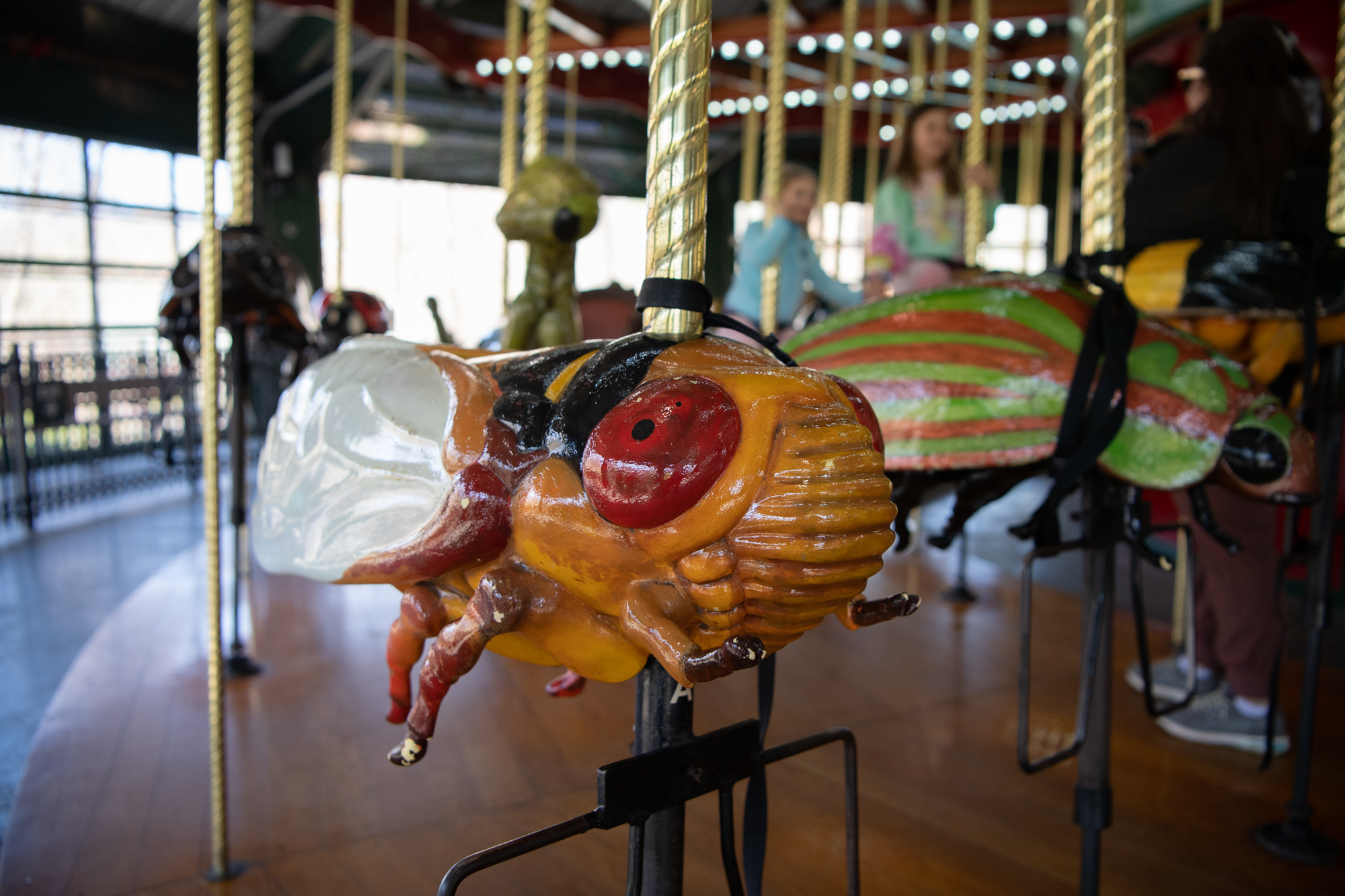 Come Ride on the Cicada Carousel – State of the Planet