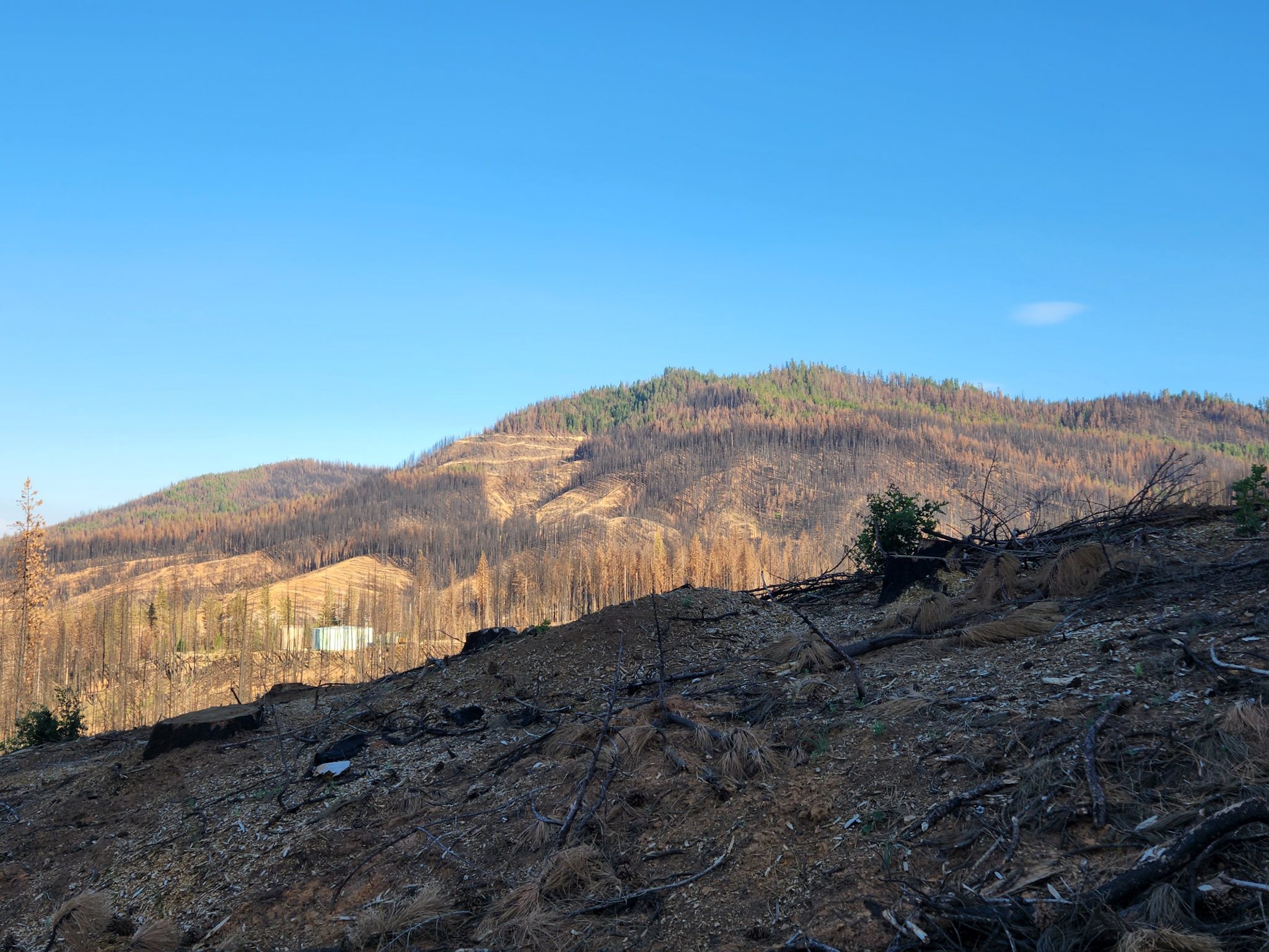 Training for Dixie Fire Survivors Sheds Light on the Long Road to ...