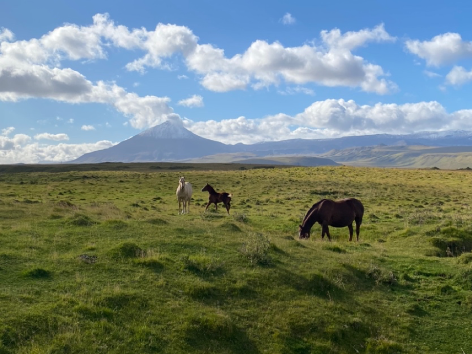 Preparing for Volcanic Eruptions at Okmok Volcano, Alaska – State of ...