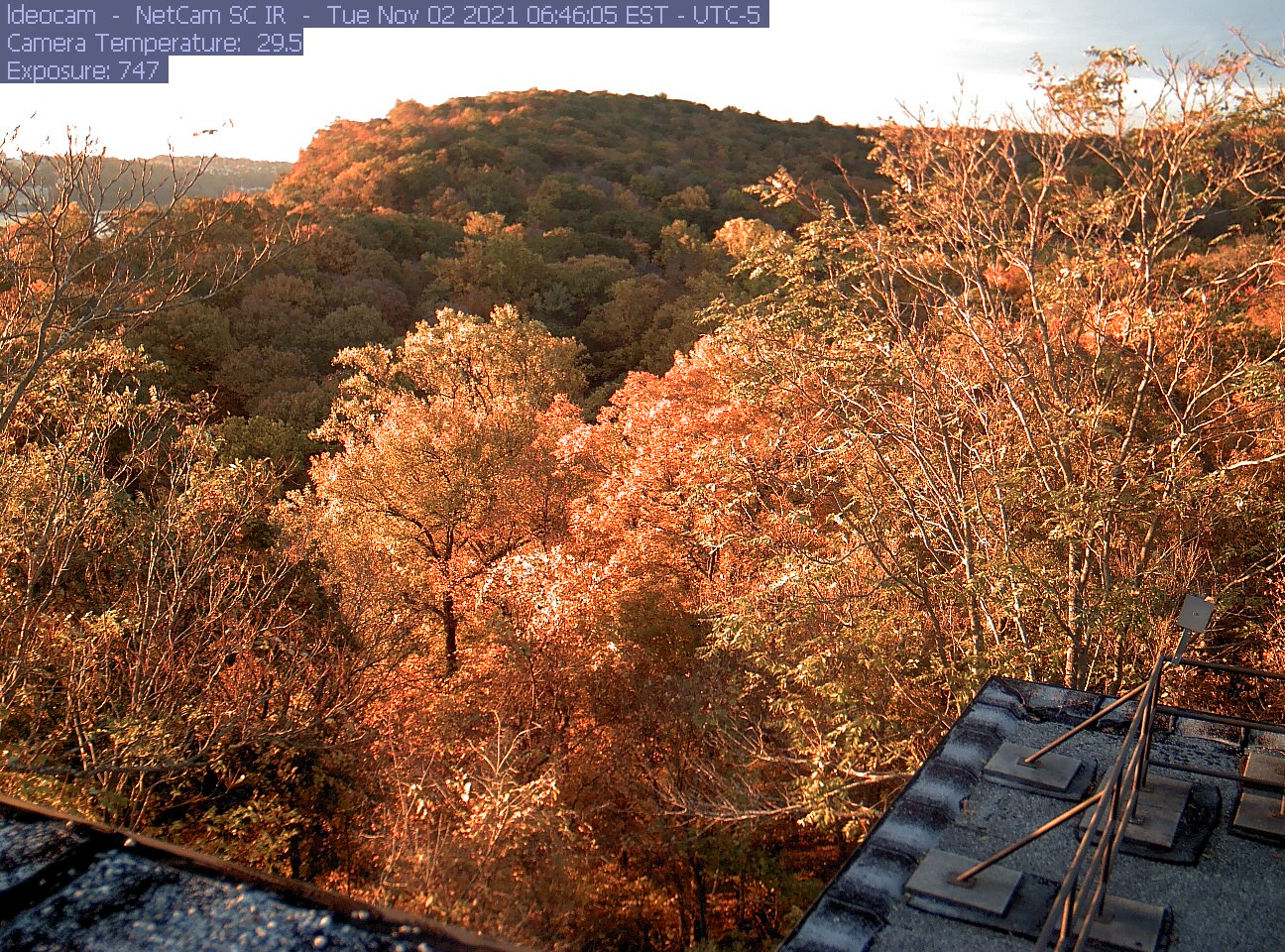 How Climate Change Impacts Fall Foliage – State of the Planet