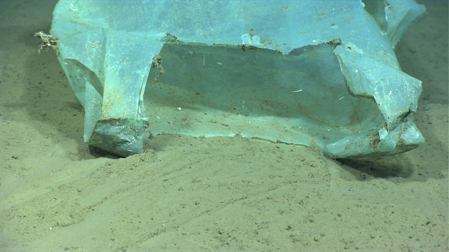 How Do We Clean Up All That Ocean Plastic? – State of the Planet