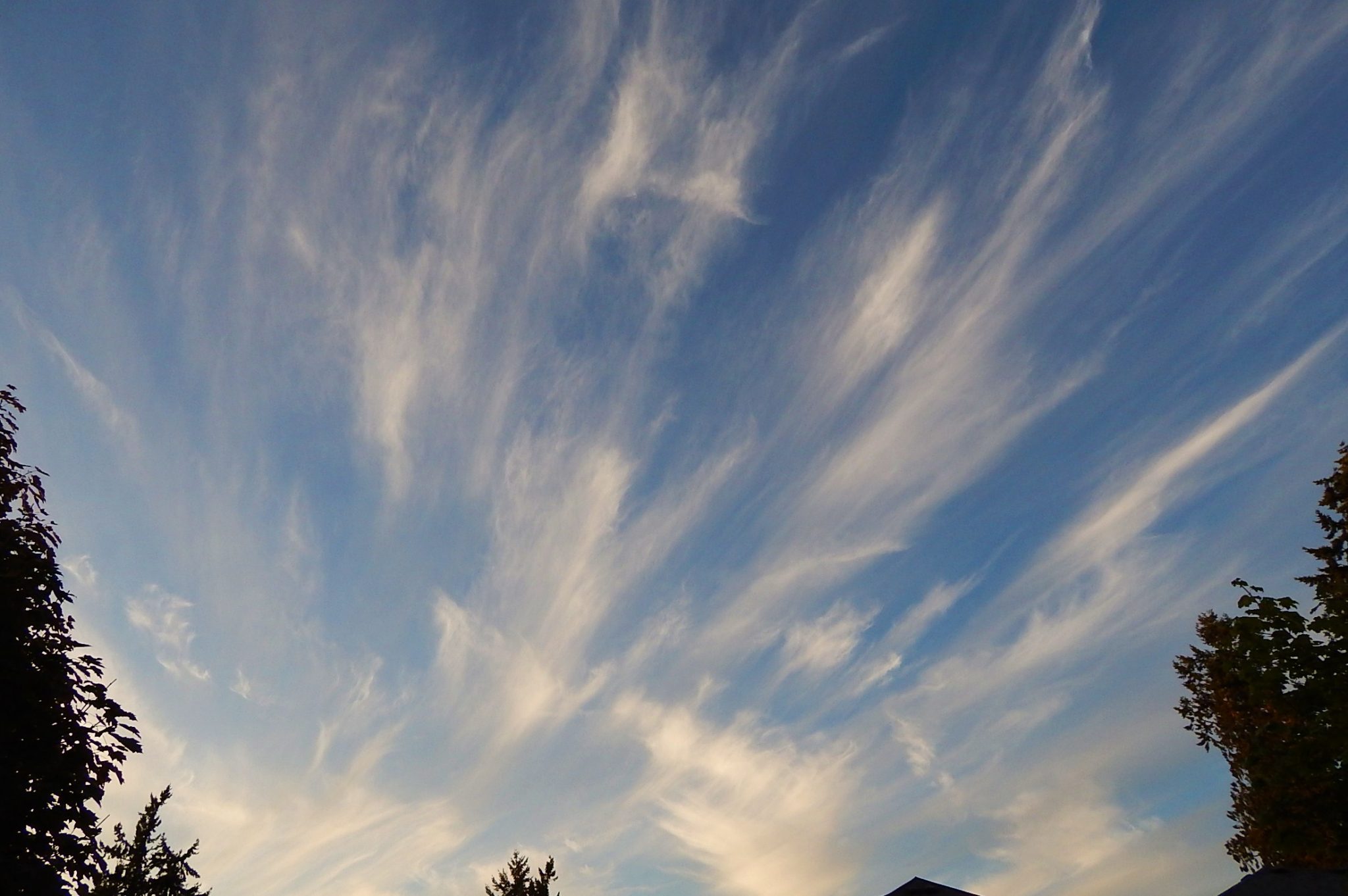 How Studying the Clouds Can Improve Climate Models – State of the Planet