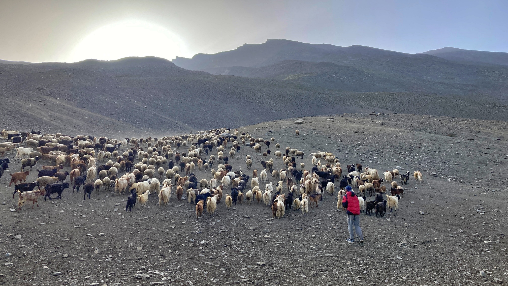 Reflections on Visits to Pakistan – State of the Planet