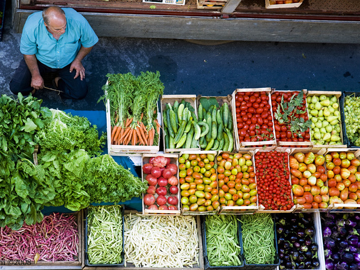 COP27: Meaningful Progress and Missed Opportunities on Food System ...