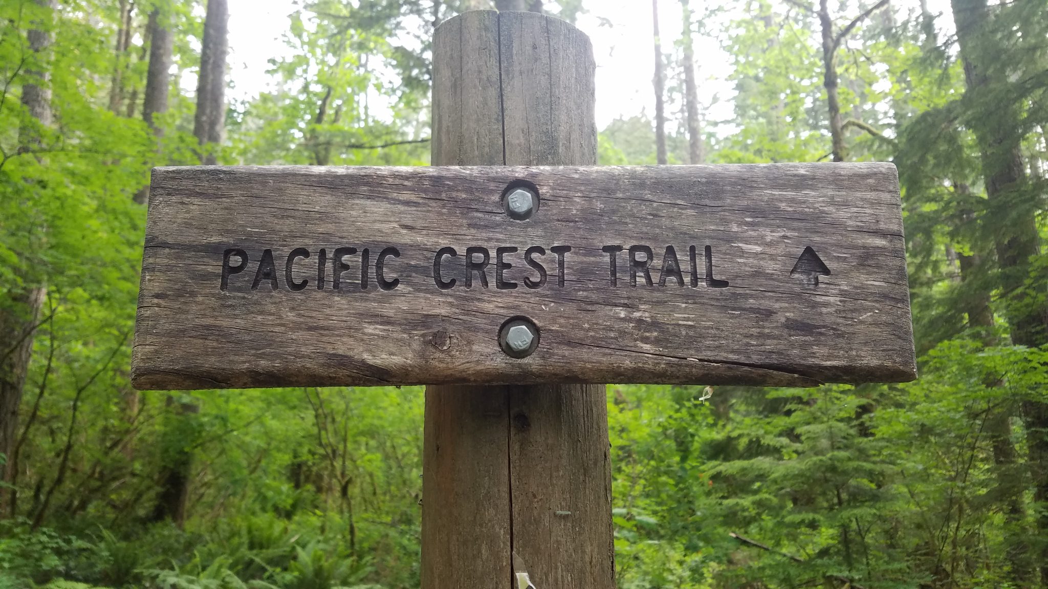 How an Adventurous Schoolteacher in the Washington Backcountry Launched ...