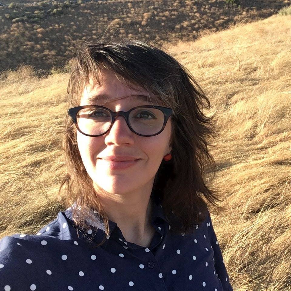 My Experience as a Fellow With the New York City Panel on Climate ...