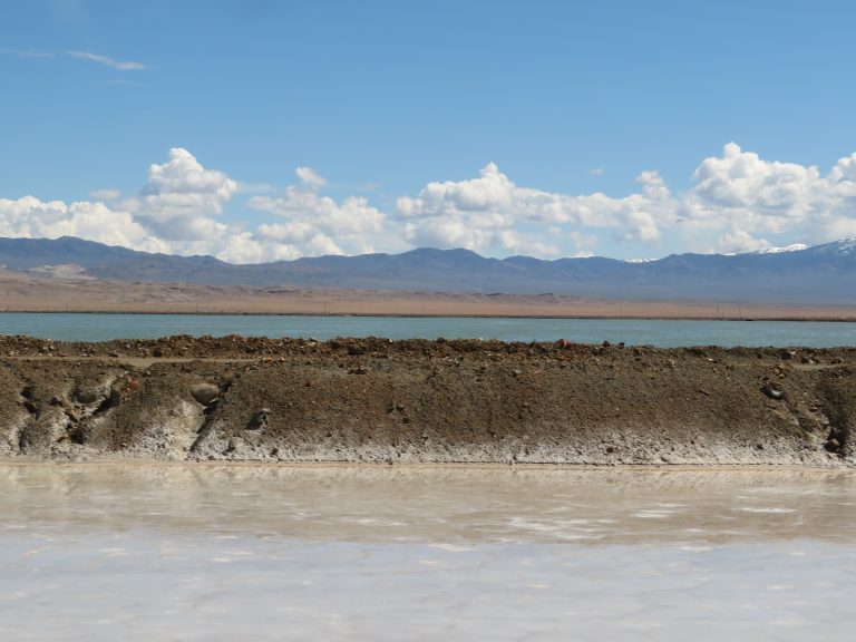 The Energy Transition Will Need More Rare Earth Elements. Can We Secure ...