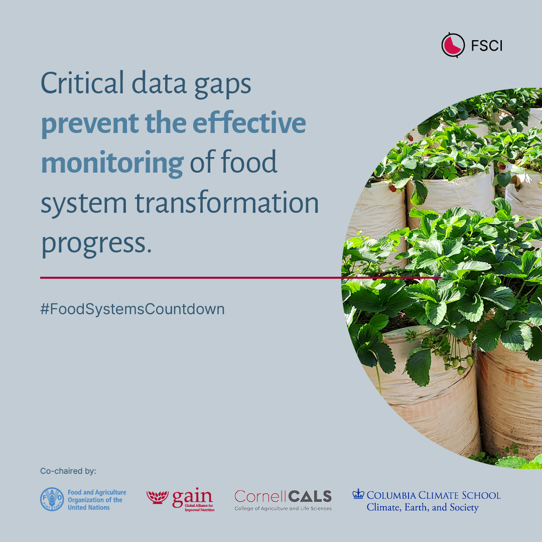 A New System Can Help Global Food Production Adapt to Climate Change ...
