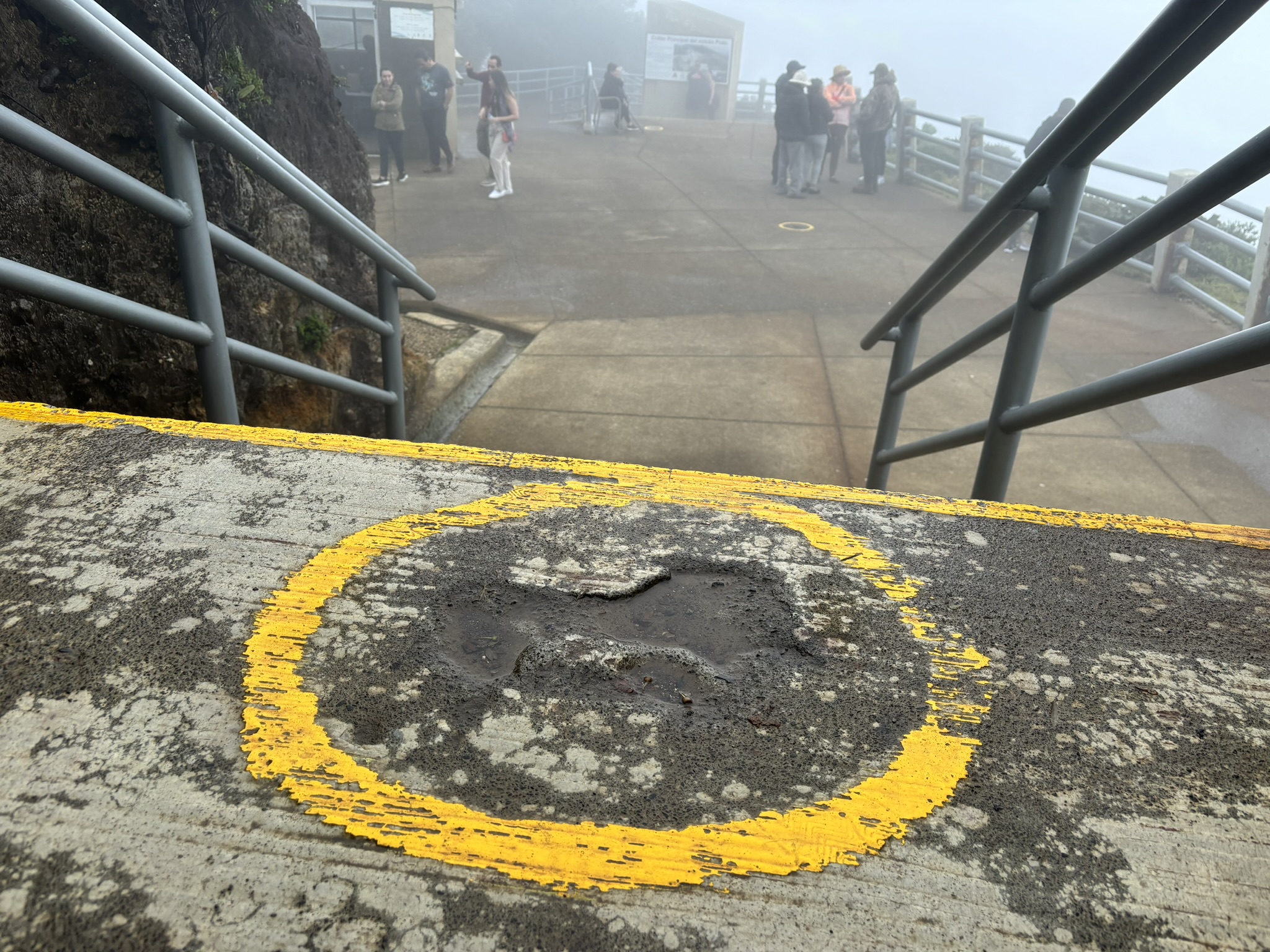 High in a Cloud Forest, Tapping Into the Breathing of a Volcanic Beast ...