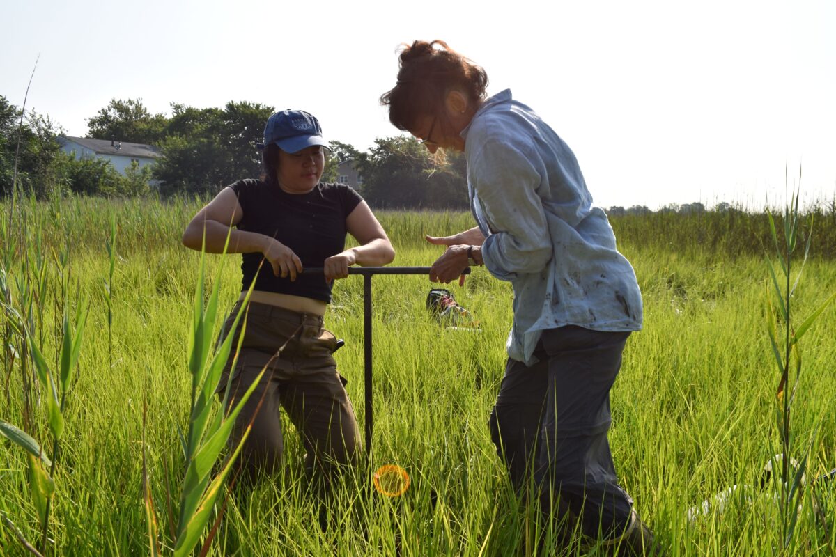 Current and Upcoming Scientific Fieldwork 2025 and Beyond: A Guide ...