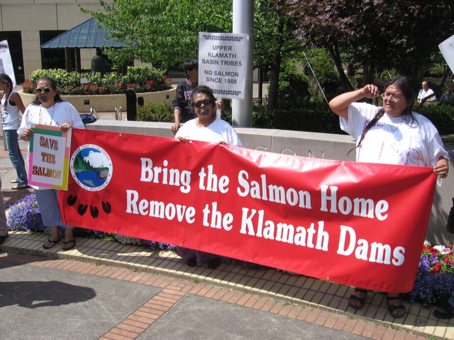 Dam Removal Spurs the Return of Salmon—and a Local Tribe’s Hopes of ...