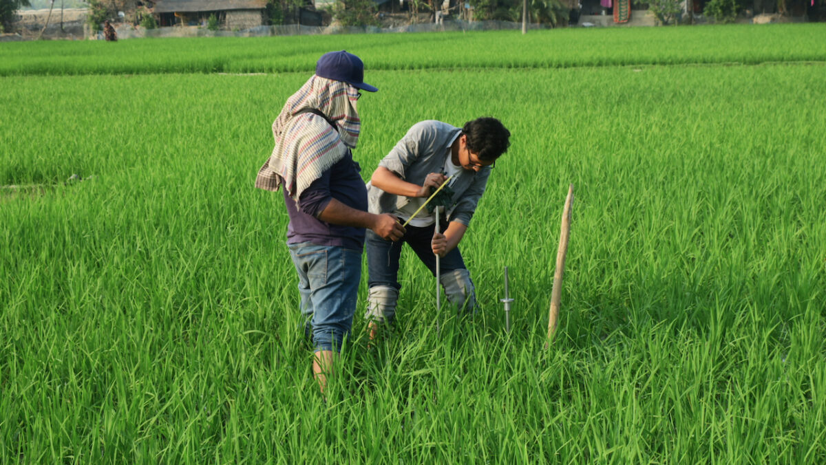 Finishing the Coastal Service Run – State of the Planet