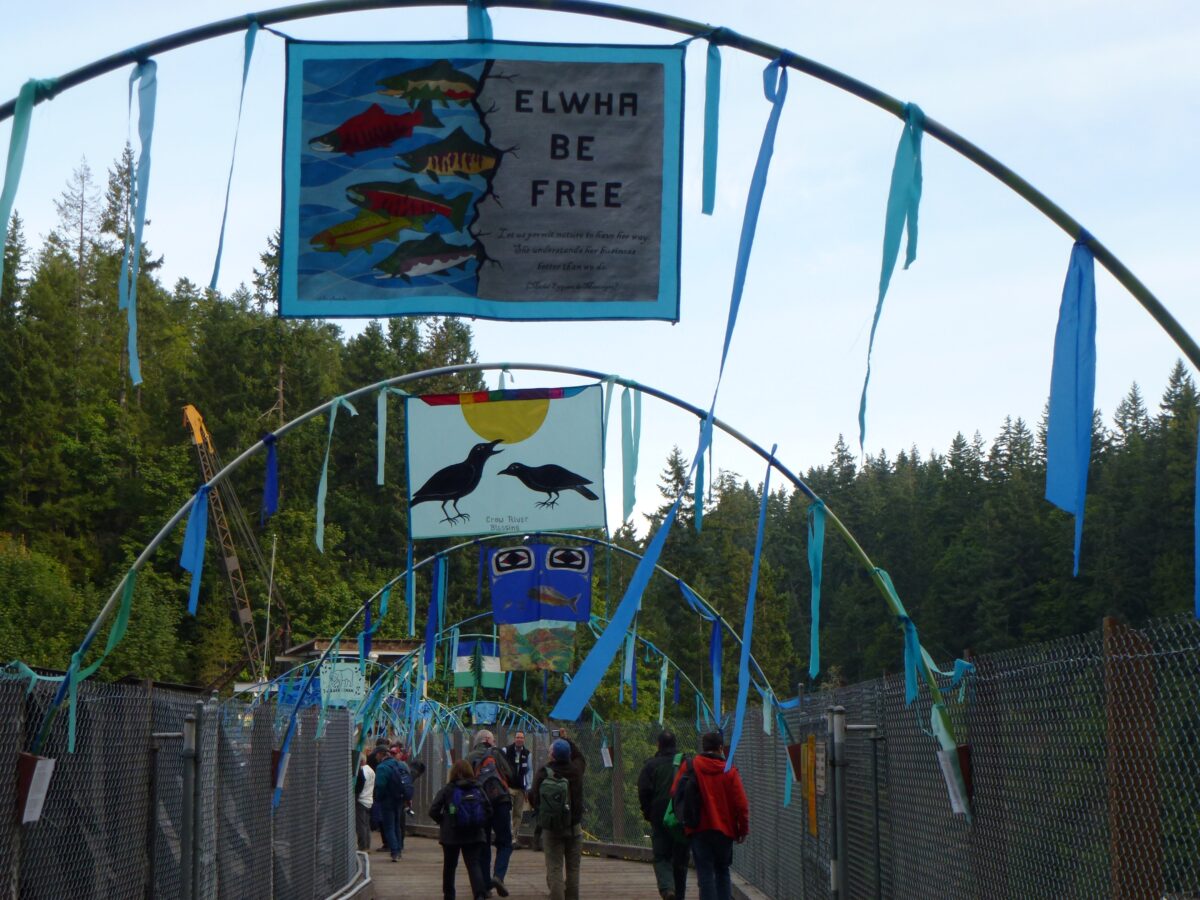 Dam Removal Spurs the Return of Salmon—and a Local Tribe’s Hopes of ...