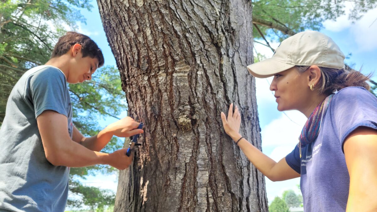 A Glimpse at the Columbia Climate School in the Green Mountains Program ...