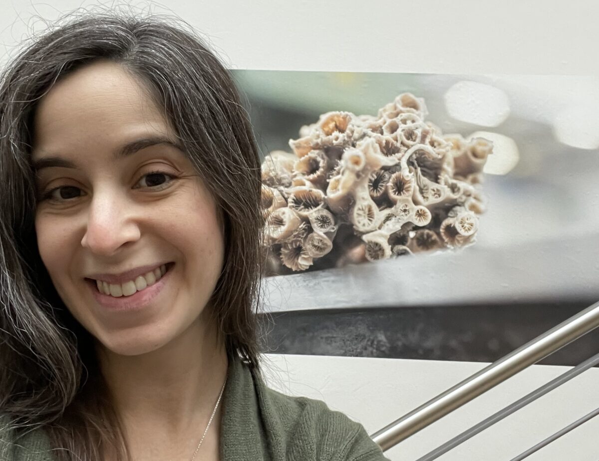 The Hidden Language of Ocean Coral – State of the Planet