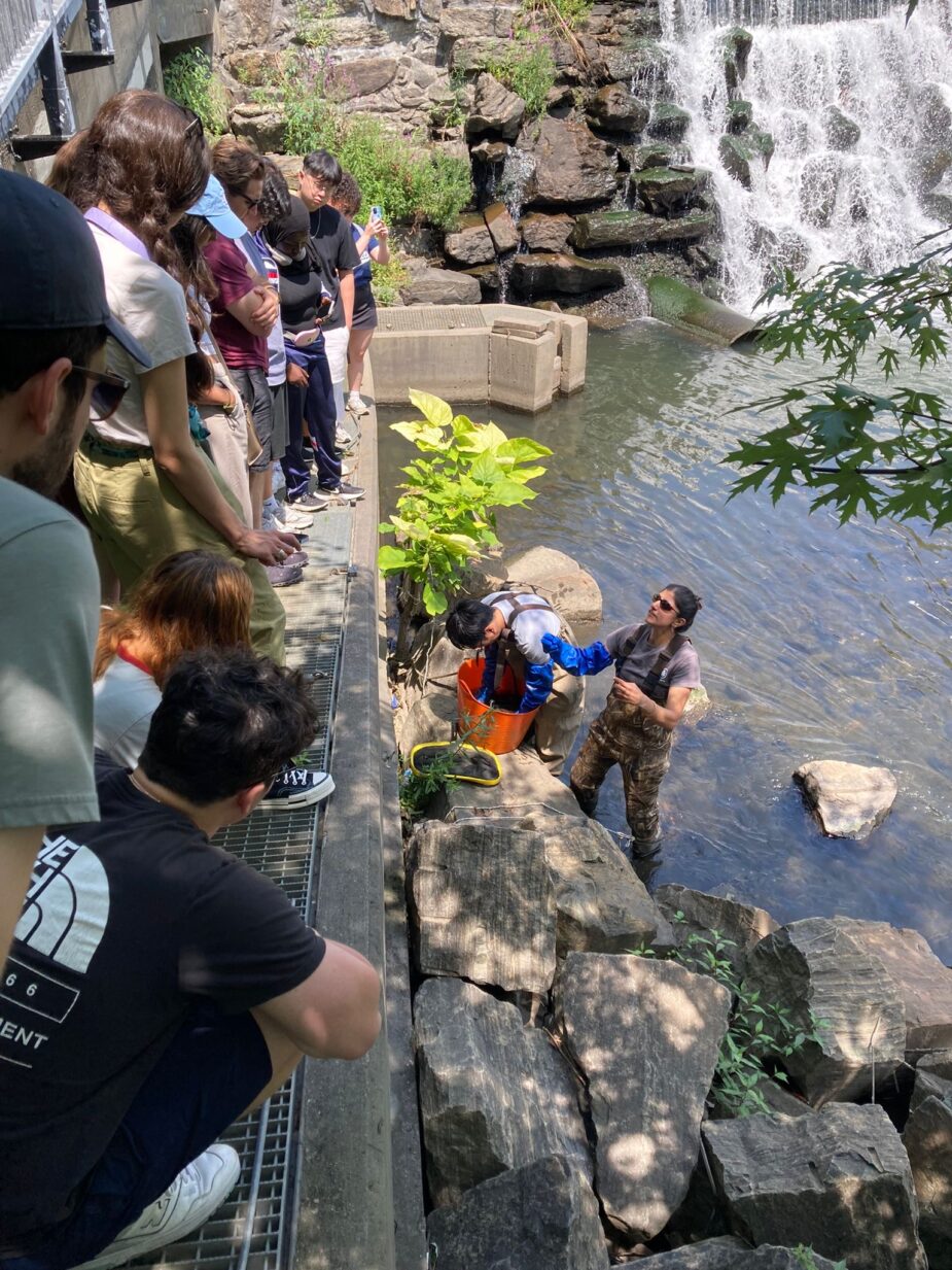 Urban Ecology in Action: Field Lessons From Randall’s Island to Bronx ...