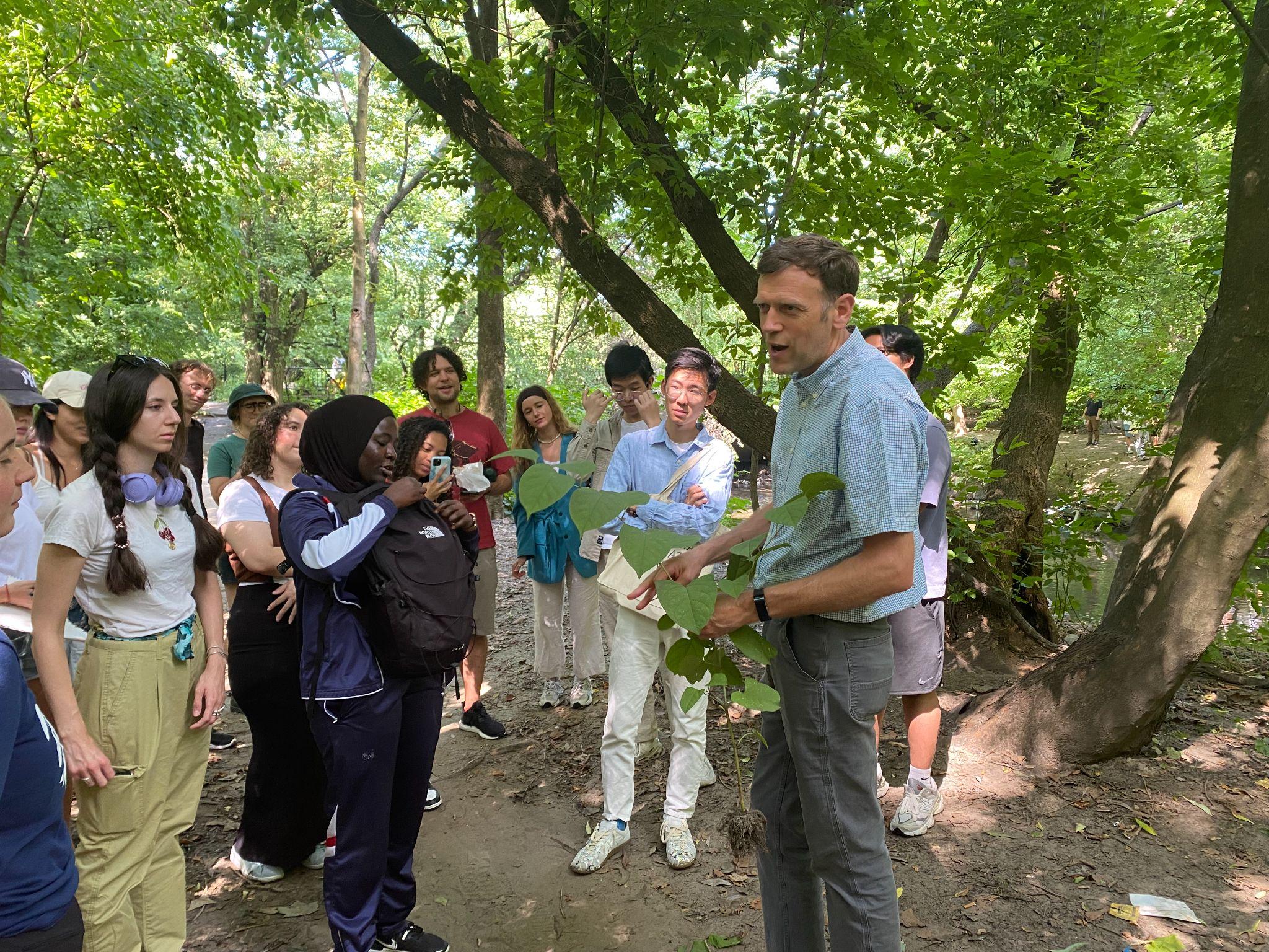 Urban Ecology in Action: Field Lessons From Randall’s Island to Bronx ...