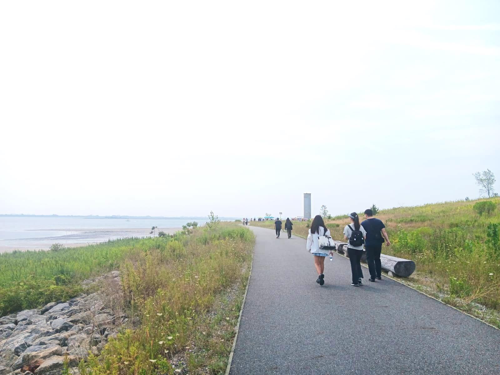 Reviving Nature in the City: Lessons From Urban Green Space Restoration ...