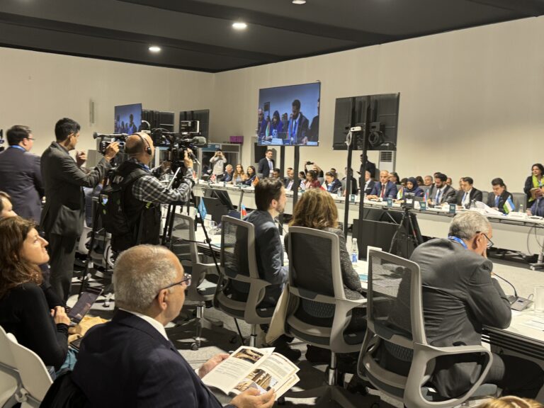 Reflecting on COP29 and the Need for Radical Collaboration – State of ...