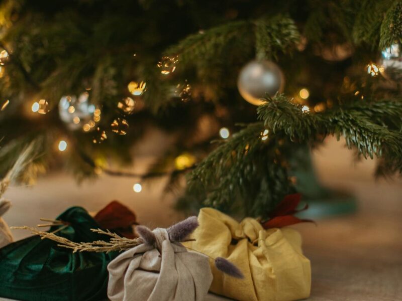 Garbage, Product Design, and the Circular Economy – State of the Planet