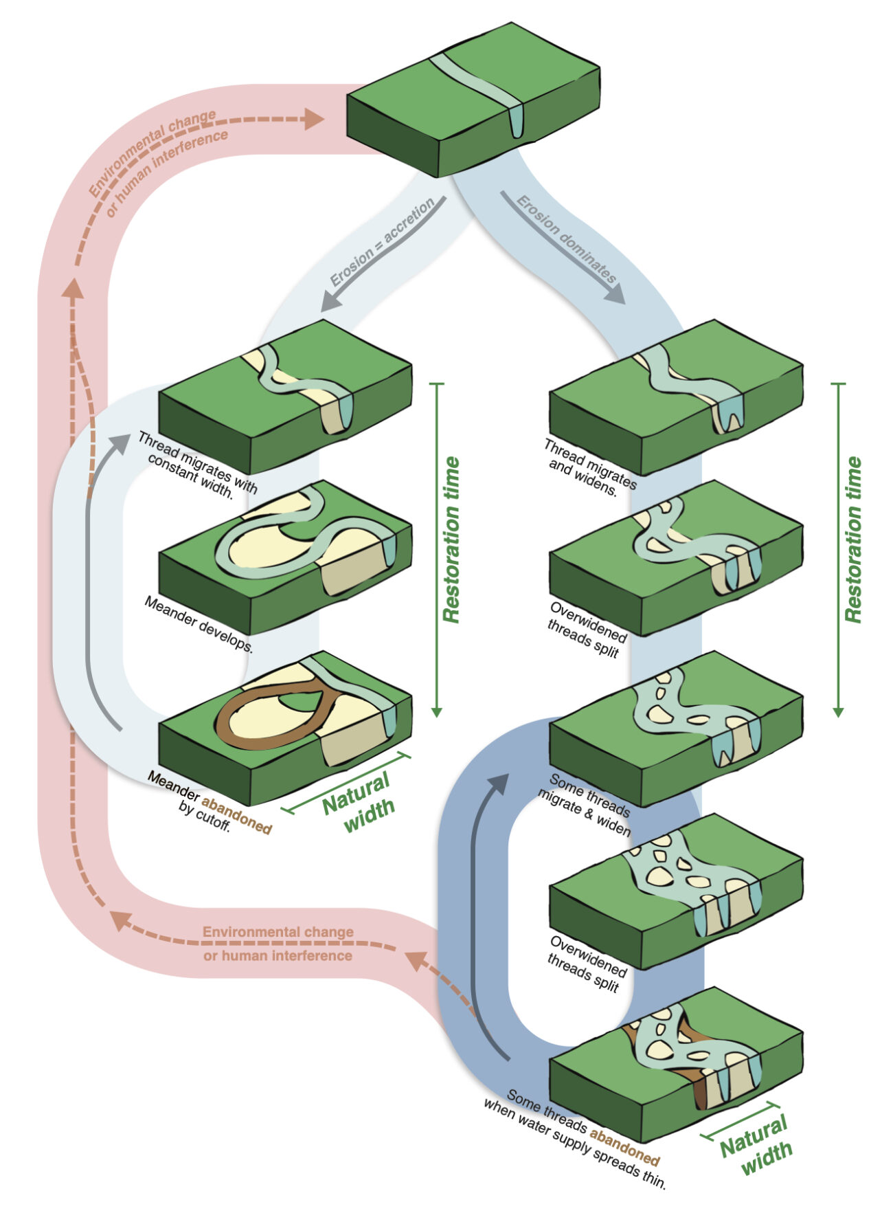 Rivers Choose Their Path Based on Erosion—a Discovery That Could ...