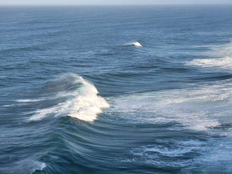 World Oceans Day Reimagines Our Relationship With the Water Around Us ...